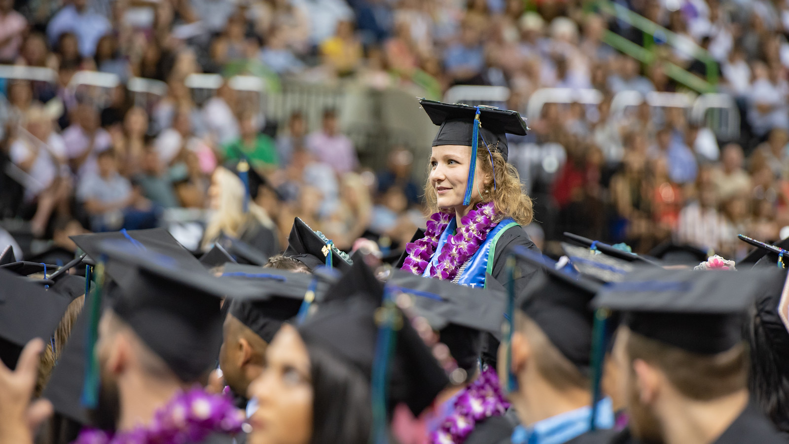 Nursing Practice Degree, DNP | Graduate Programs | Programs | Texas A&M ...