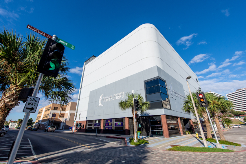 Texas A&M-Corpus Christi Awarded $50K from National Endowment for the ...