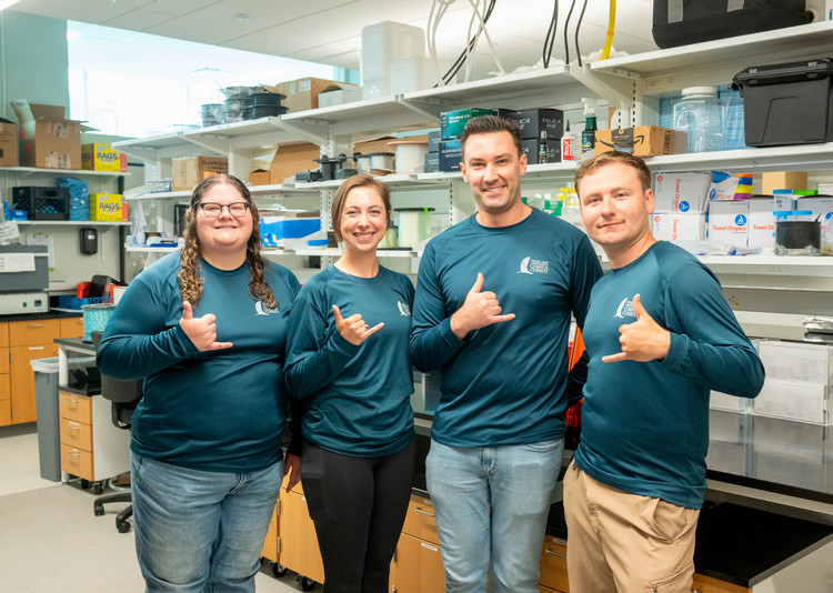 Student Conduct and Advocacy | Student Conduct & Advocacy | Texas A&M ...